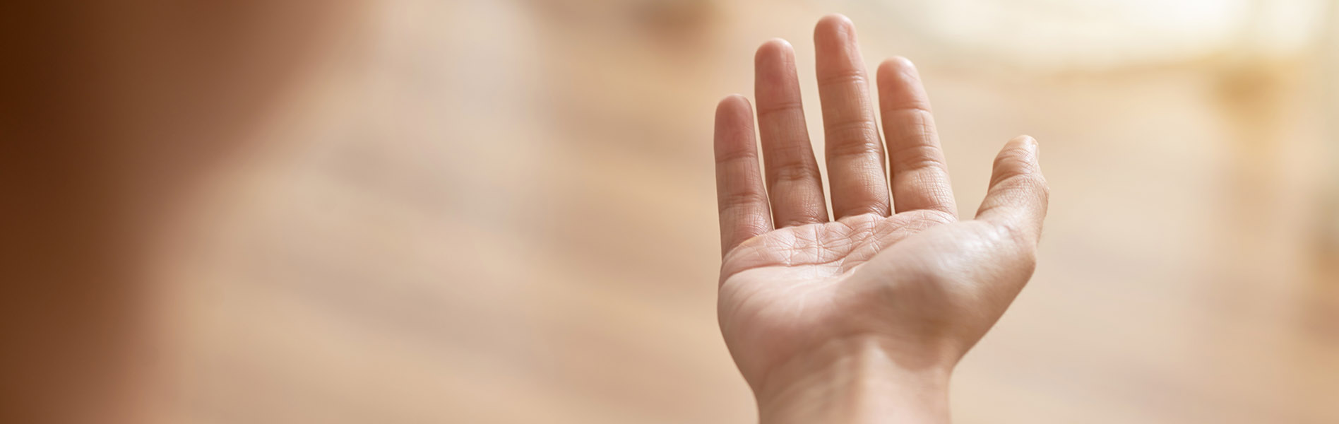 La forma de los dedos » Como leer la mano - Tarot Sol Aguilar