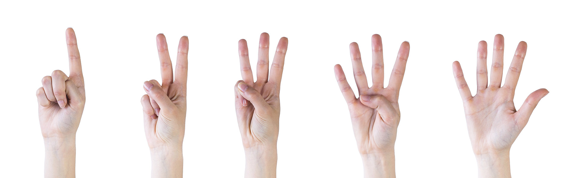 Posición y nudos » Como leer la mano - Tarot Sol Aguilar